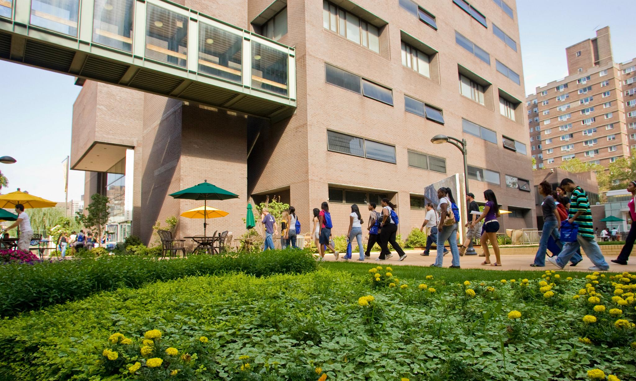 LIU Brooklyn University Университет LIU Brooklyn (Нью-Йорк, США) - как ...