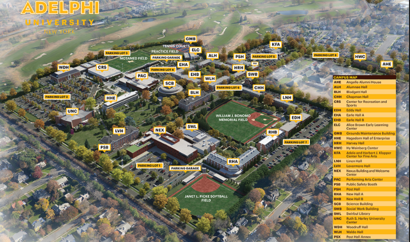 Adelphi University (Университет Адельфи) (Нью-Йорк, США) - как ...