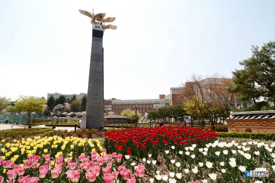 Chosun University Университет Чосон (Кванджу, Южная Корея) - поступить ...