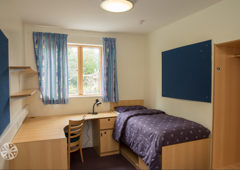 Worth School Summer Летний лагерь Worth School (Бристоль, Великобритания)