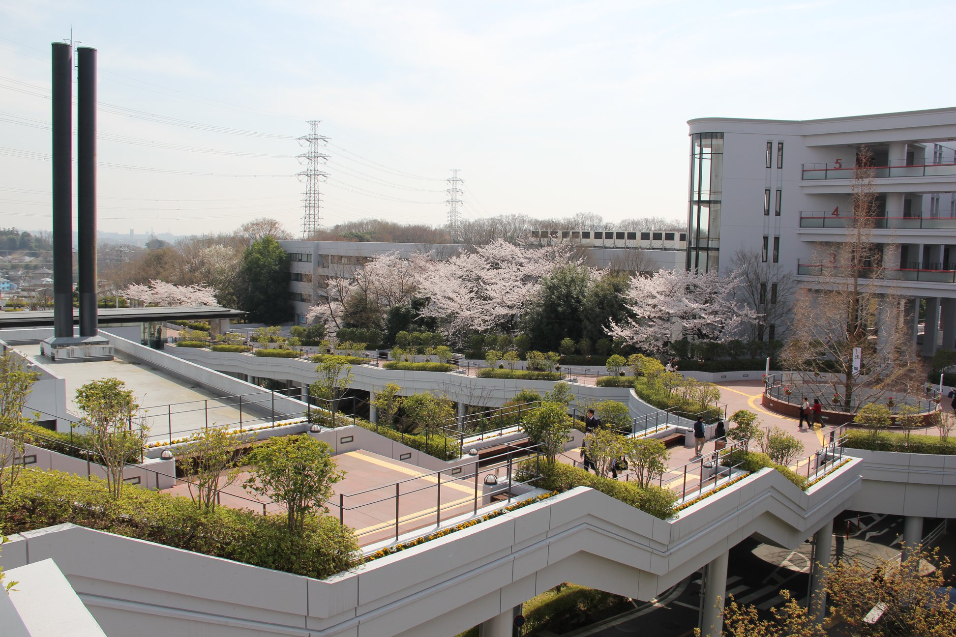 Chuo University Университет Чуо (Хатиодзи, Япония) - как поступить ...
