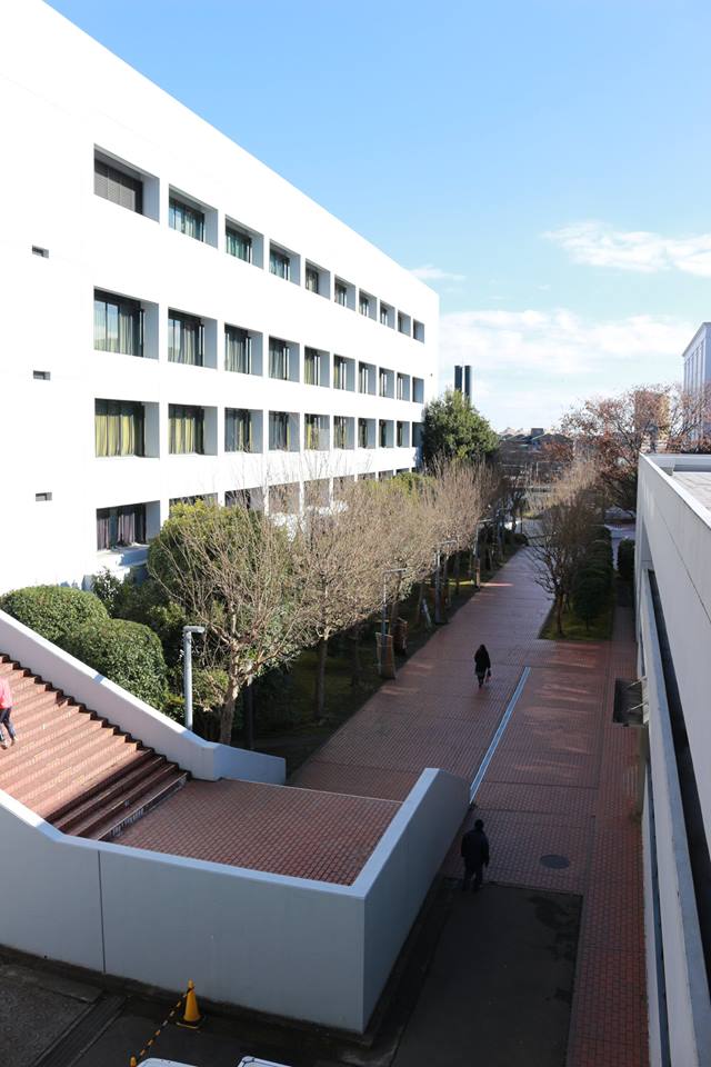 Chuo University Университет Чуо (Хатиодзи, Япония) - как поступить ...