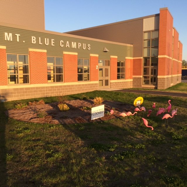 Mt.Blue High School (школа Мт Блу Хай Скул) (Портленд, США) - как ...