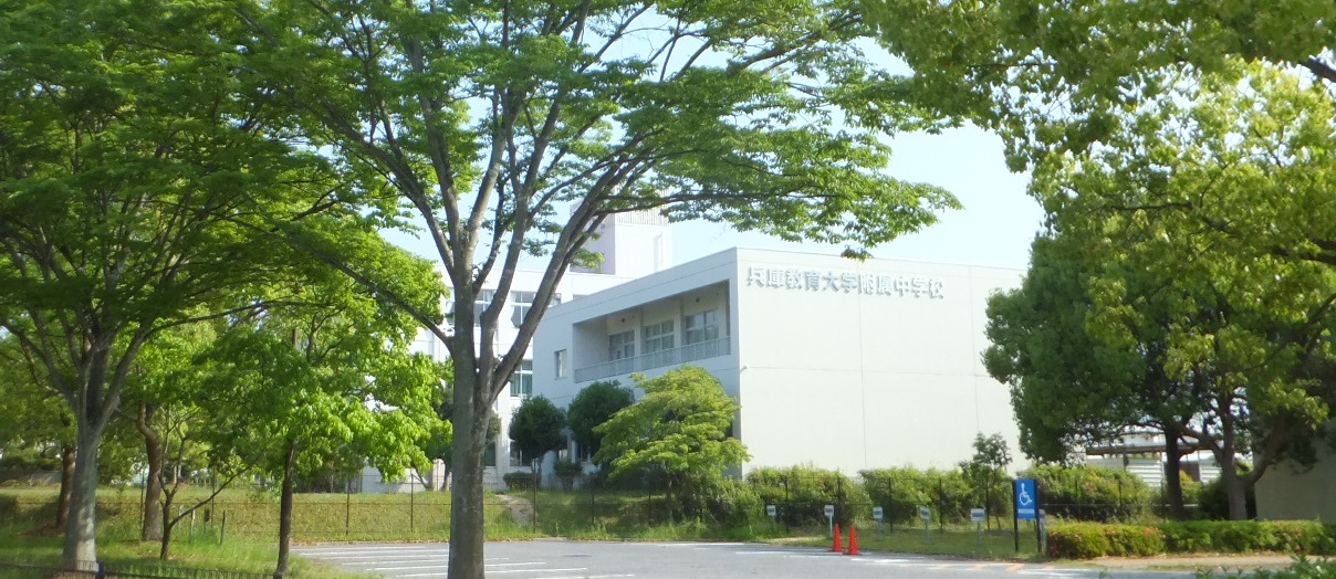 Hyogo University, Университет Хьего (Осака, Япония) - поступить, цены ...