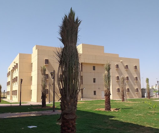 Qassim University Logo