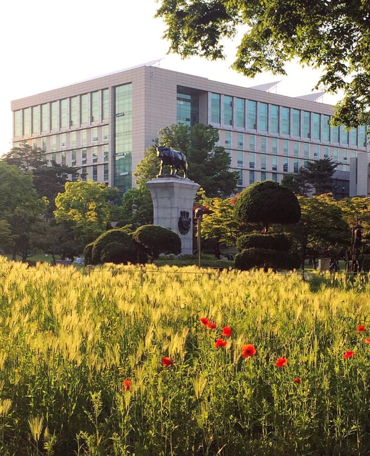 Konkuk University, Университет Конкук (Сеул, Южная Корея) - поступить ...