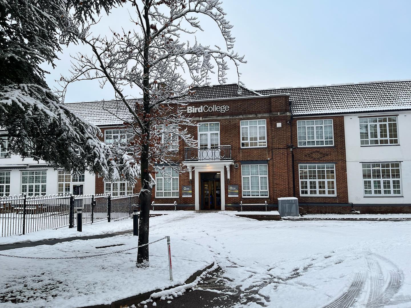 Bird College of Dance, Music & Theatre Performance, Театральный колледж ...